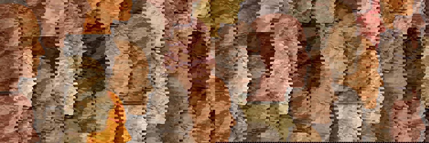 Supporting evidence-informed practice with children and families, young ...